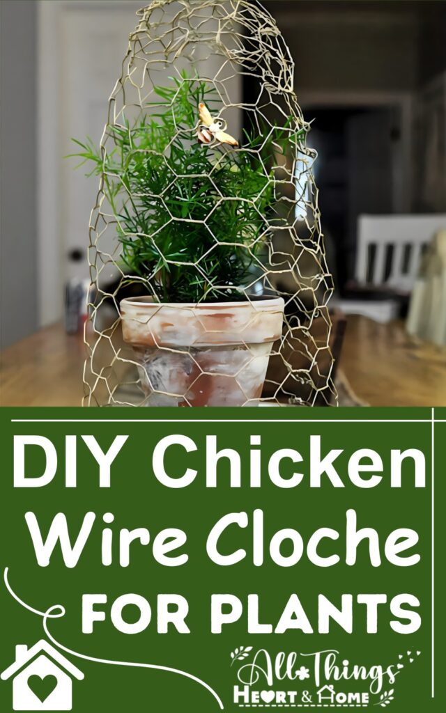 How to DIY Chicken Wire Cloche For Garden (Step-by-Step Guide)